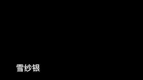 起亚 - EV5 视觉盛宴 碰撞测试 满分答卷