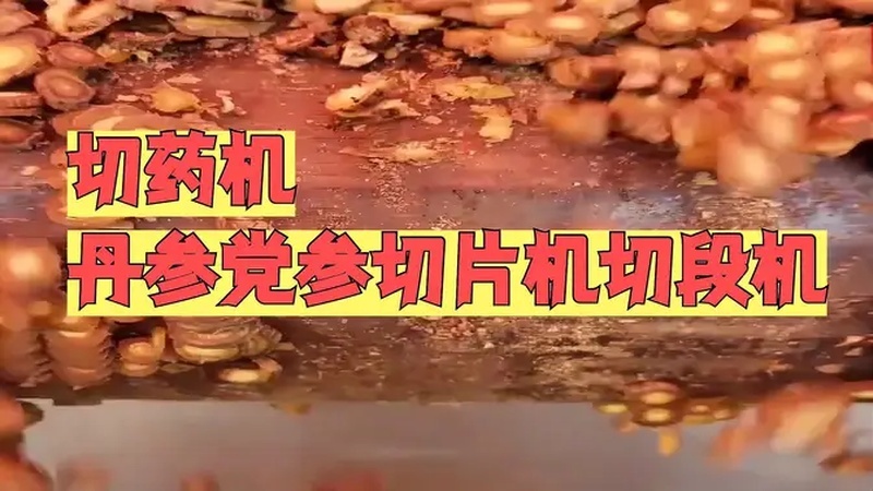 经济耐用款中药材剁药机 丹参党参切片机切段机 大型中药材切片机