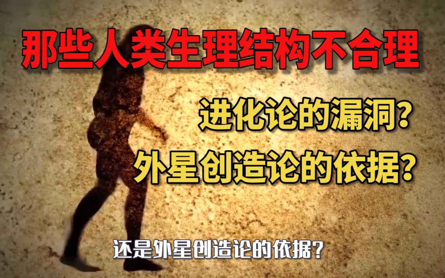 人类生理结构不合理的地方?进化论的漏洞,还是外星改造论的依据?
