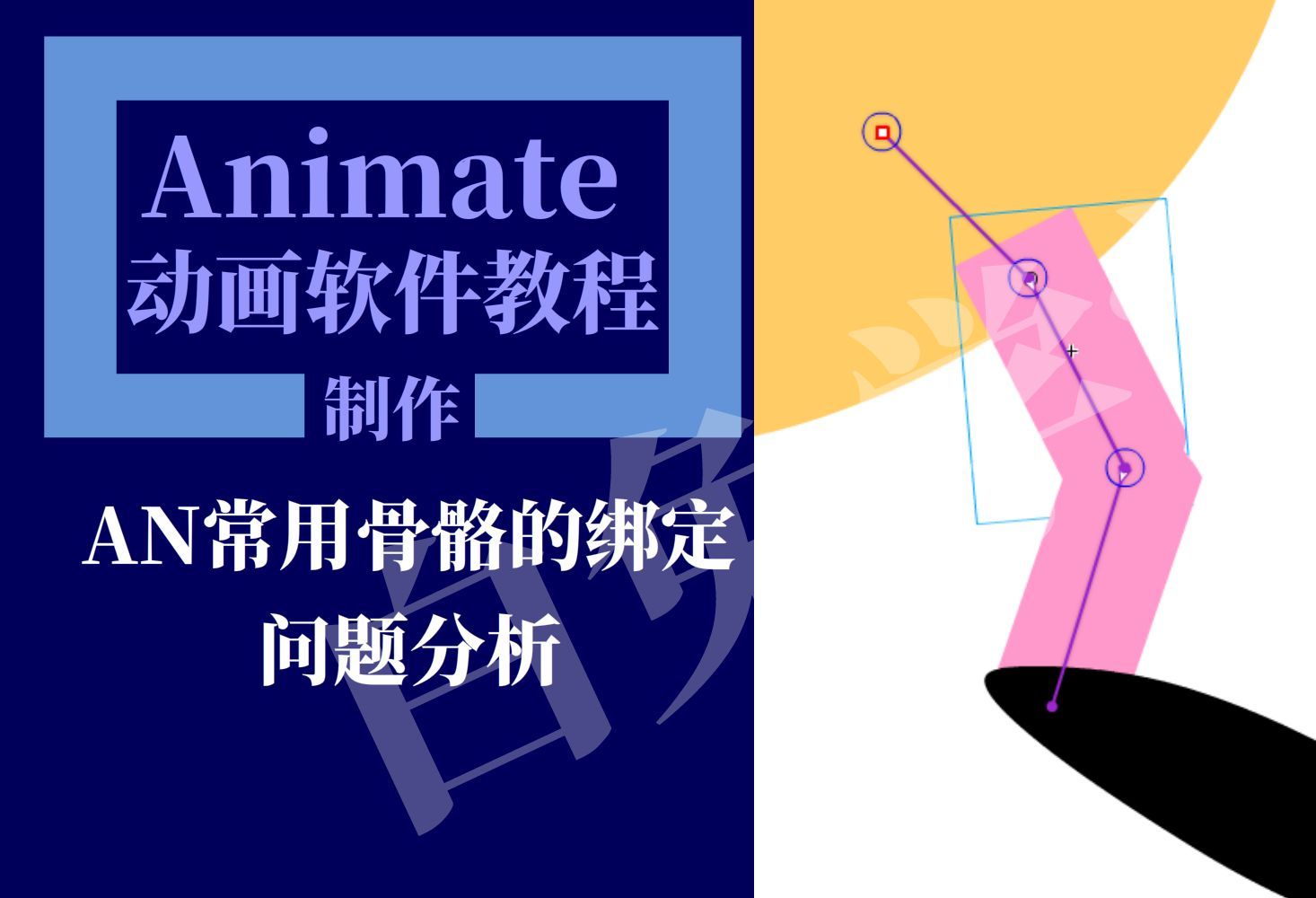 AN常用骨骼的绑定问题分析