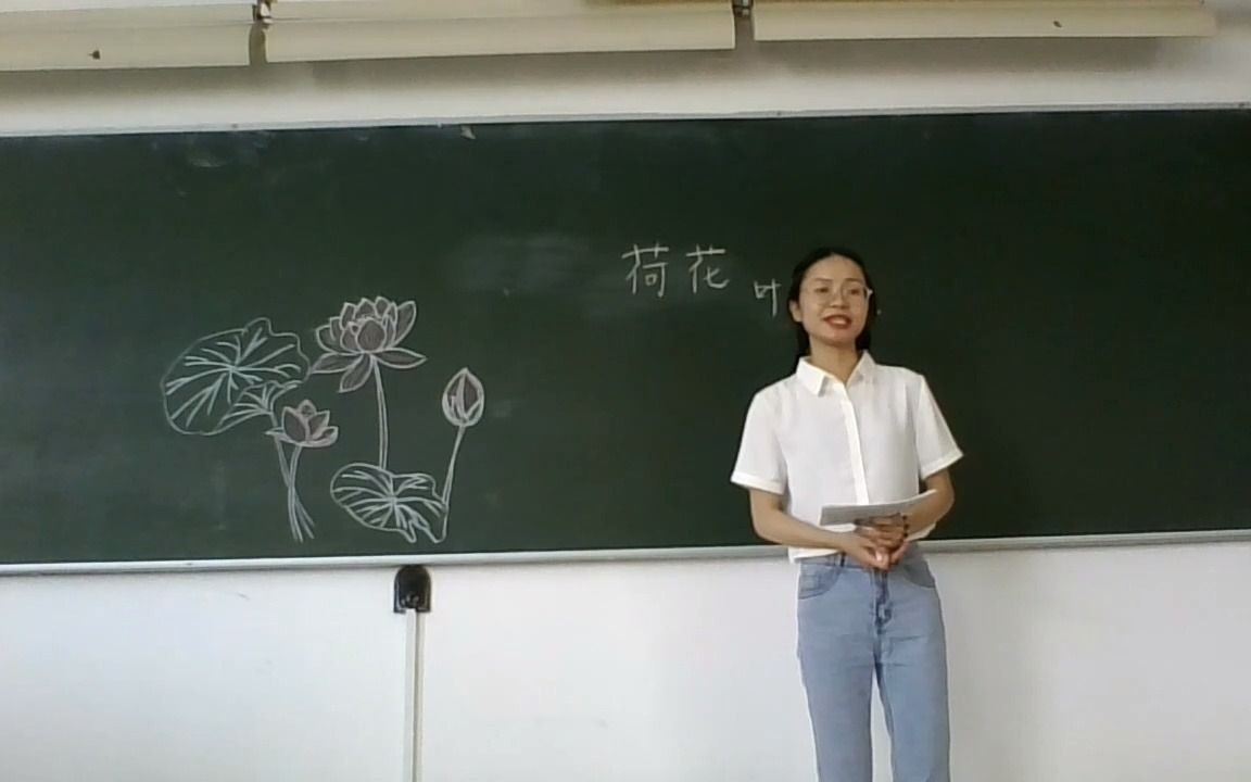 叶圣陶《荷花》试讲