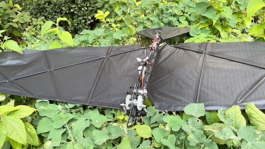 扑翼飞行器第十三集:终篇调试与飞行,状态堪称完美,可靠性高