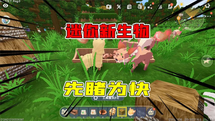 迷你世界:迷你新生物羊驼狐狸蝙蝠渡渡鸟你见过没?赶快先睹为快
