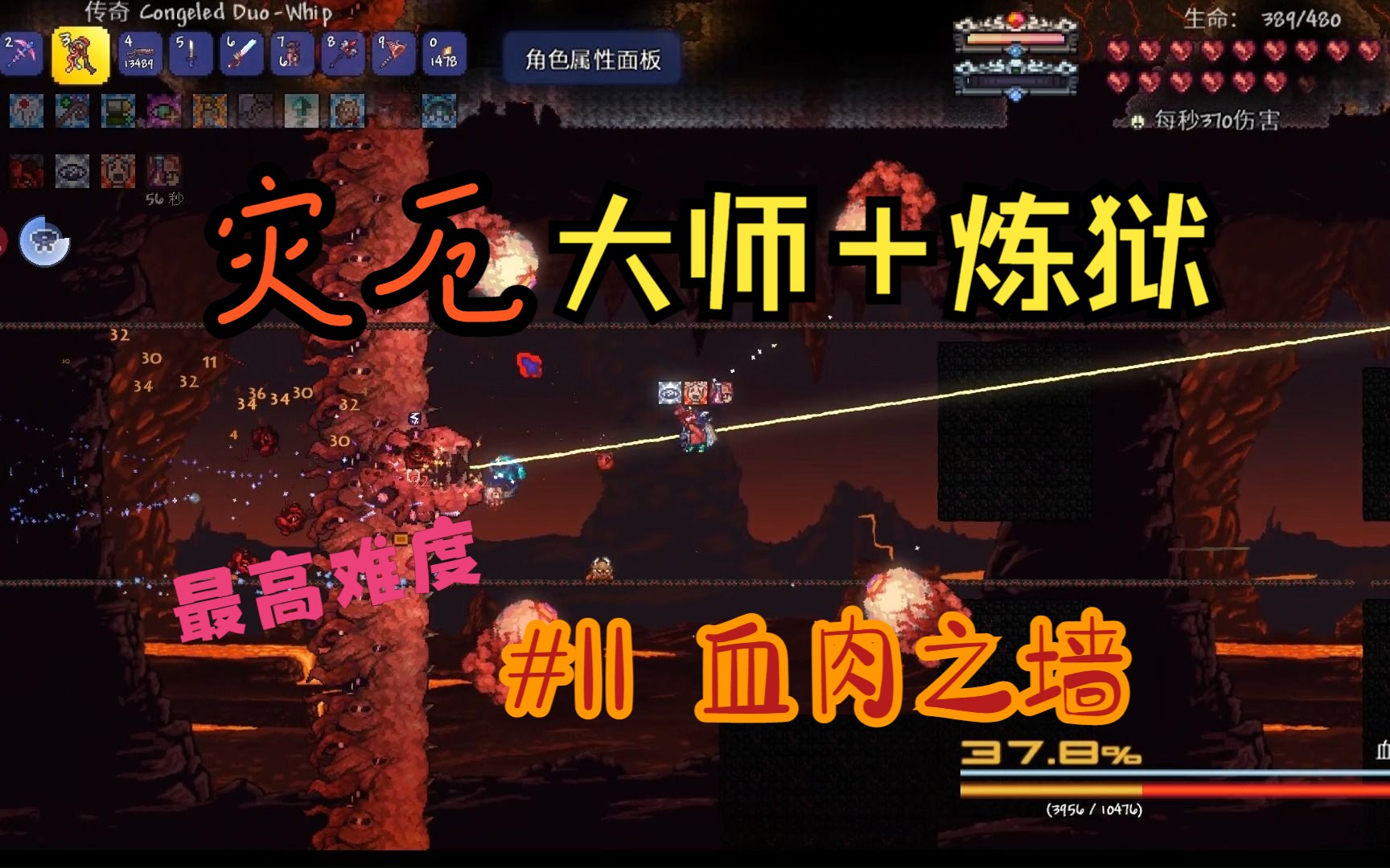 【泰拉瑞亚】灾厄 大师+炼狱模式 #11 血肉之墙