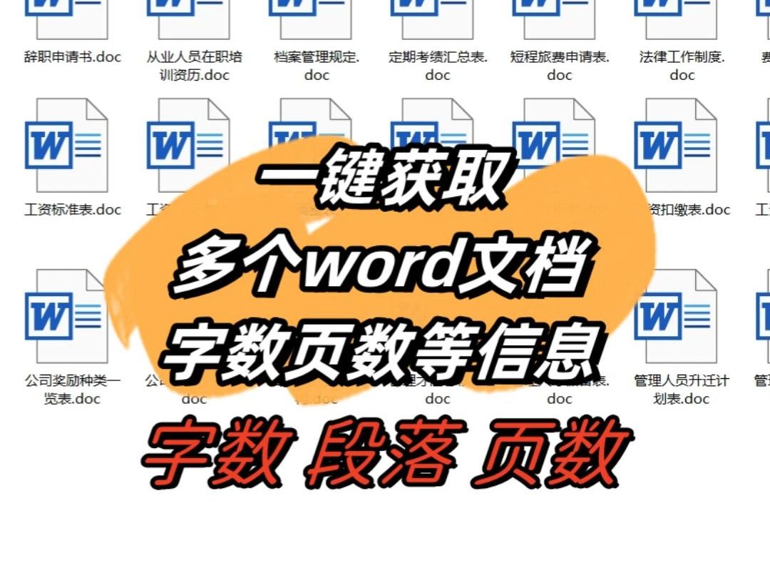 【一键获取1000个word文档字数页数等信息】数据处理 高效办公 职场...