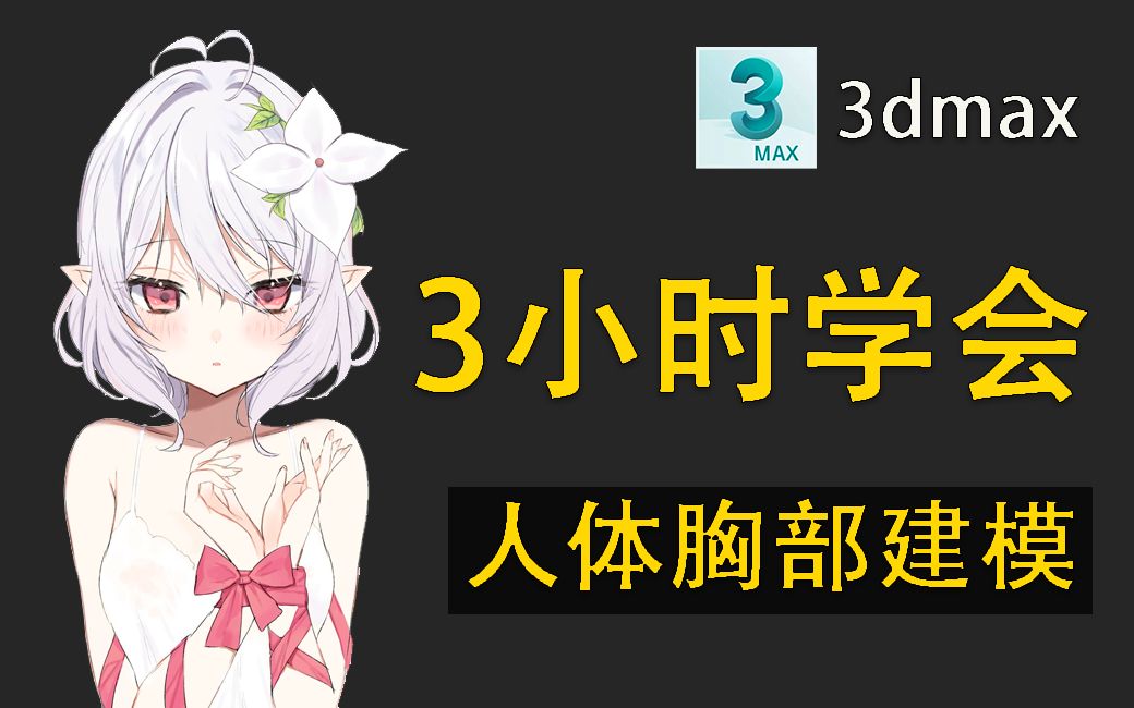 【卡通女性】3dmax软件讲解人体胸部建模技巧教学,游戏动漫人物角色...