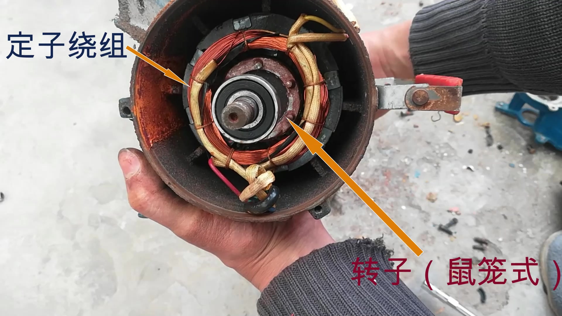 水泵:我觉得我还可以再抢救一下!拆解讲解单相交流电机原理