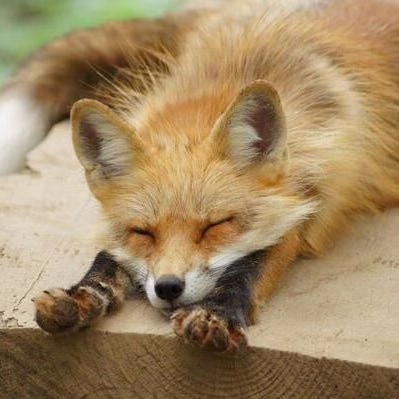 电磁万能平底锅 