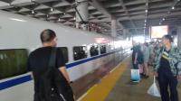 【2019.7.30】D3239次进宁波站,南京南–厦门北