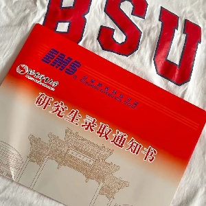 北体领航体研 
