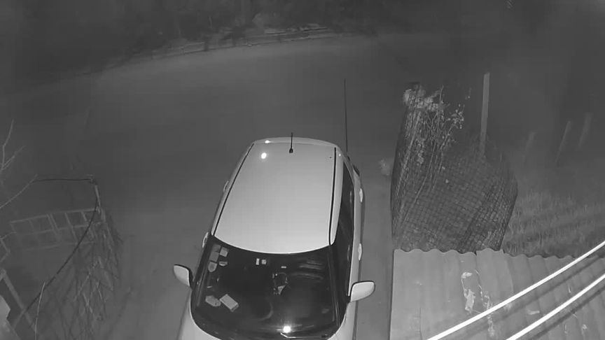 #道路千万条安全第一条 #监控 #火了叫我 家用安防设备的好处