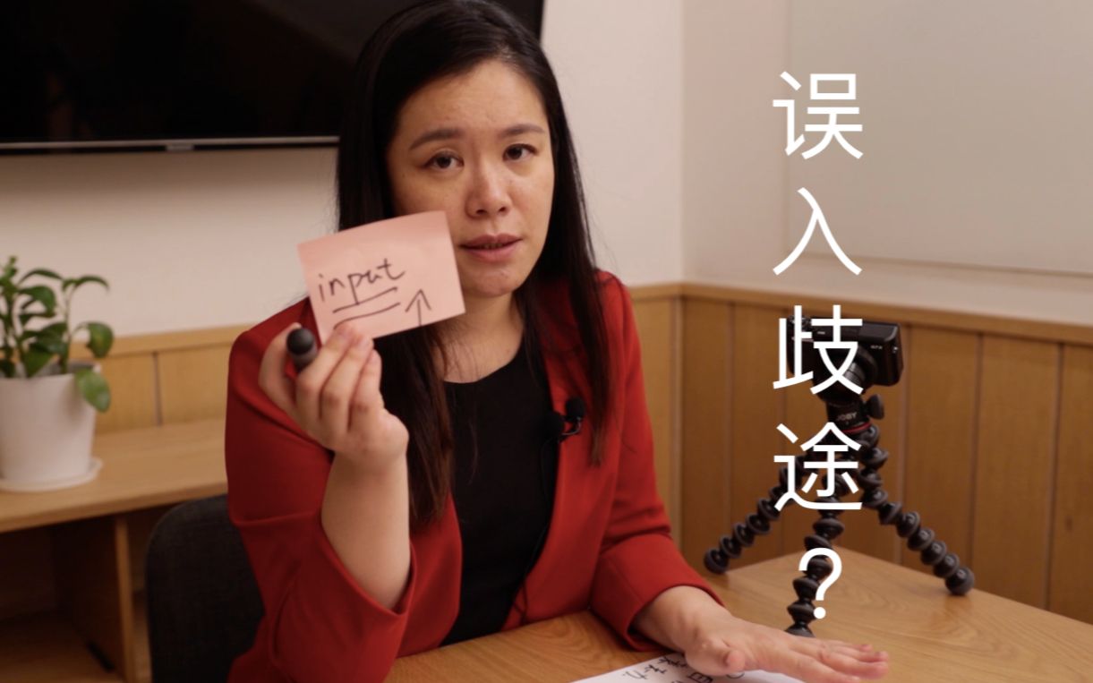 ...那些英语学习信息都是不正确的(中文视频,较长,20分钟,听我慢慢解释)