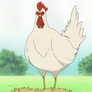 怪味鸡 