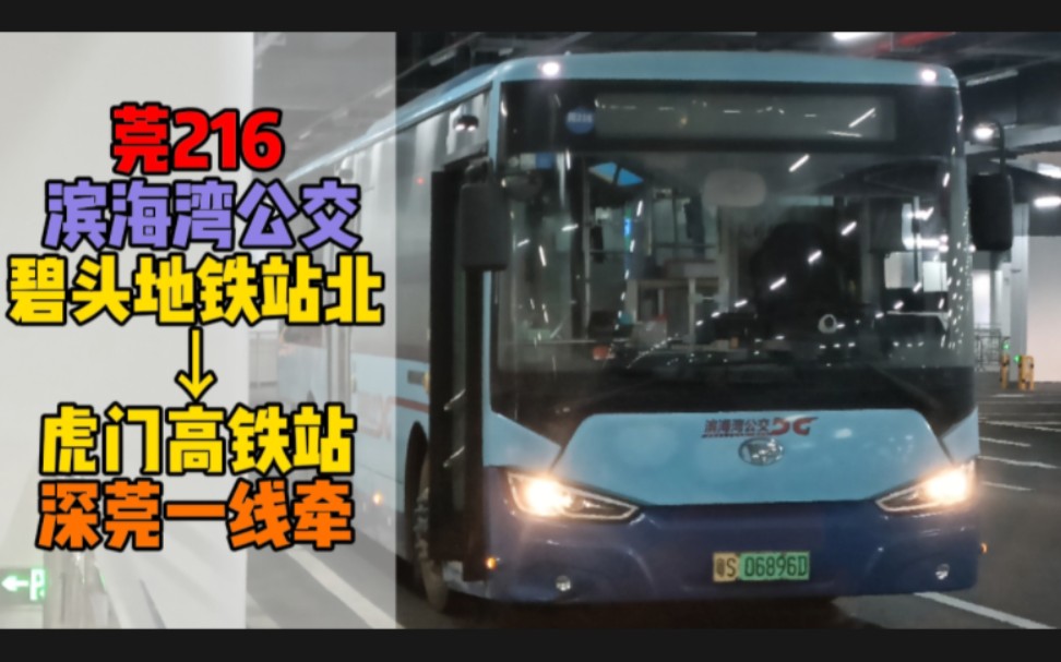 ...赏夜色,体味人间烟火,深莞一线牵,莞216 碧头地铁站北→虎门高铁站