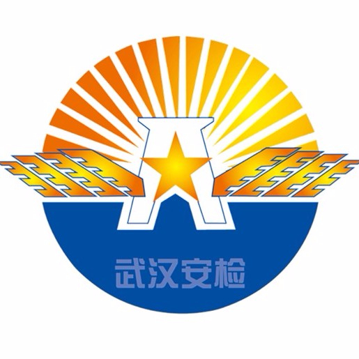 武汉机场安检站团总支 