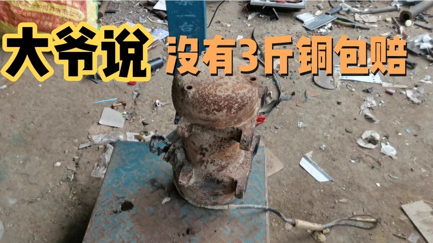 大爷和我估振动马达3斤铜,说没有就包赔给我,拆解到最后谁赢了
