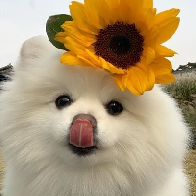 笔记本收藏库 