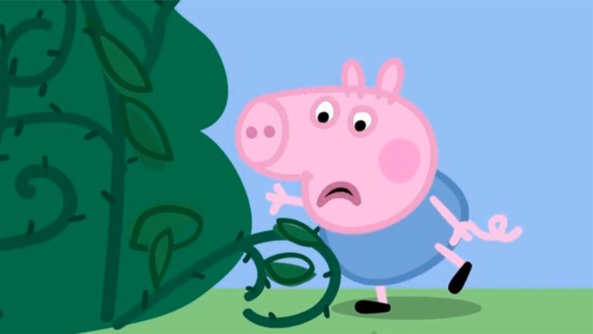 小猪乔治被黑莓藤条上的刺挂住,趣味卡通儿童简笔画