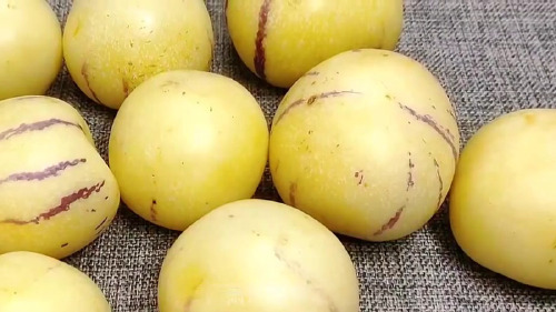 不起眼的人参果竟能一果两用?老人防感冒、久坐族消胀气,解决全家小麻烦!