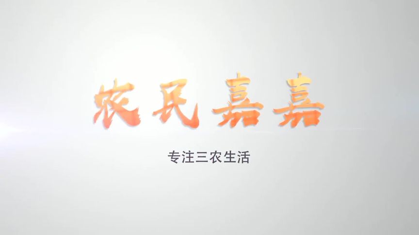 农村人种树不买树苗,妹子教你如何培养树苗,实用又省钱
