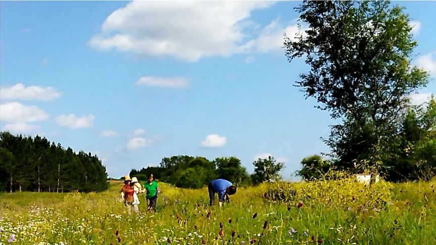 塞罕坝国家森林公园(非景区)。