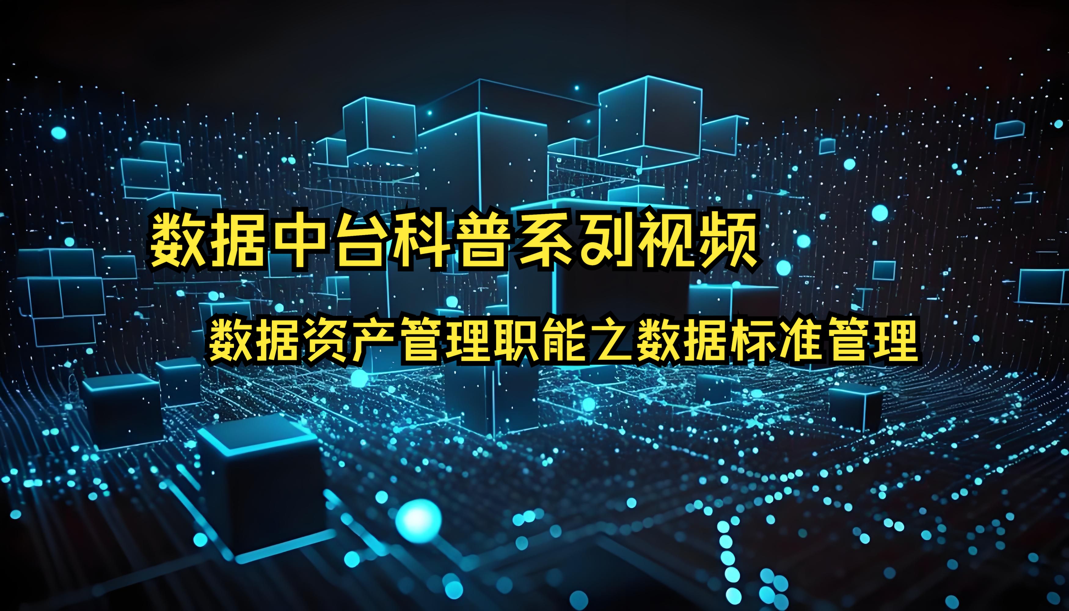 8-3 数据中台中数据资产管理职能之数据标准管理-1