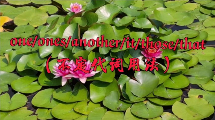 one/ones/another/it/those/that(不定代词用法)