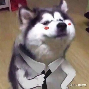 不减肥到120斤不改名 