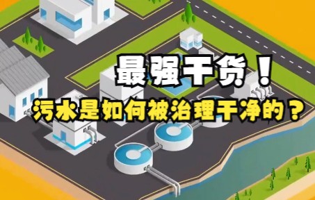 两分钟带你了解污水是怎么被处理干净的?