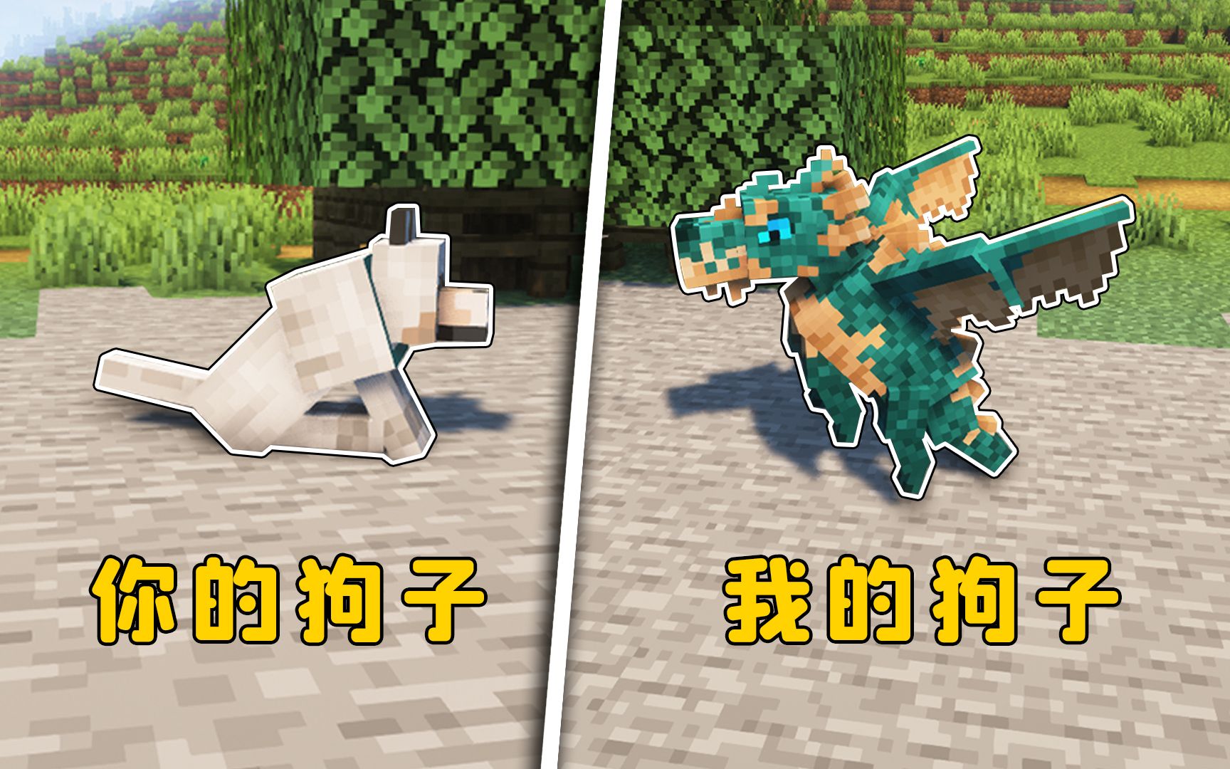 我的世界:把狗变成龙?6款优化游戏体验的材质包_哔哩哔哩bilibili_我的...