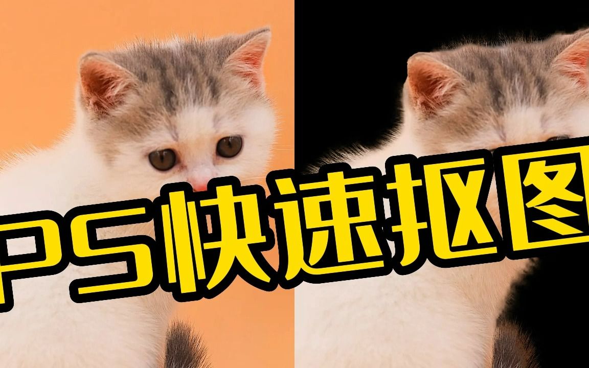 【PS抠图】新手必学!一键抠图方法让你扣出复杂图片,去除边缘调整视频