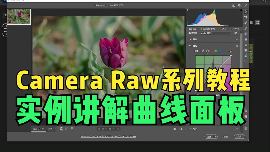 Camera Raw系列教程,曲线面板功能使用,实例讲解曲线面板