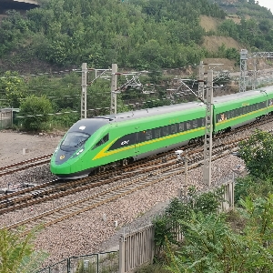 天龙回手 