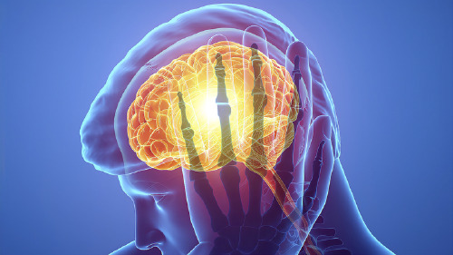 脑震荡算轻伤?权威伤情鉴定标准一次说清!