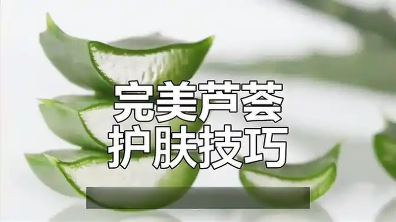 芦荟护肤全攻略:正确使用方法与注意事项