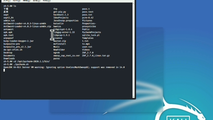 手机kali之运行Pycharm