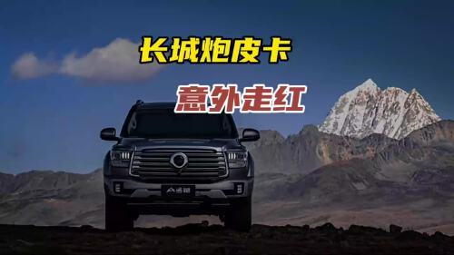 长城炮皮卡意外走红