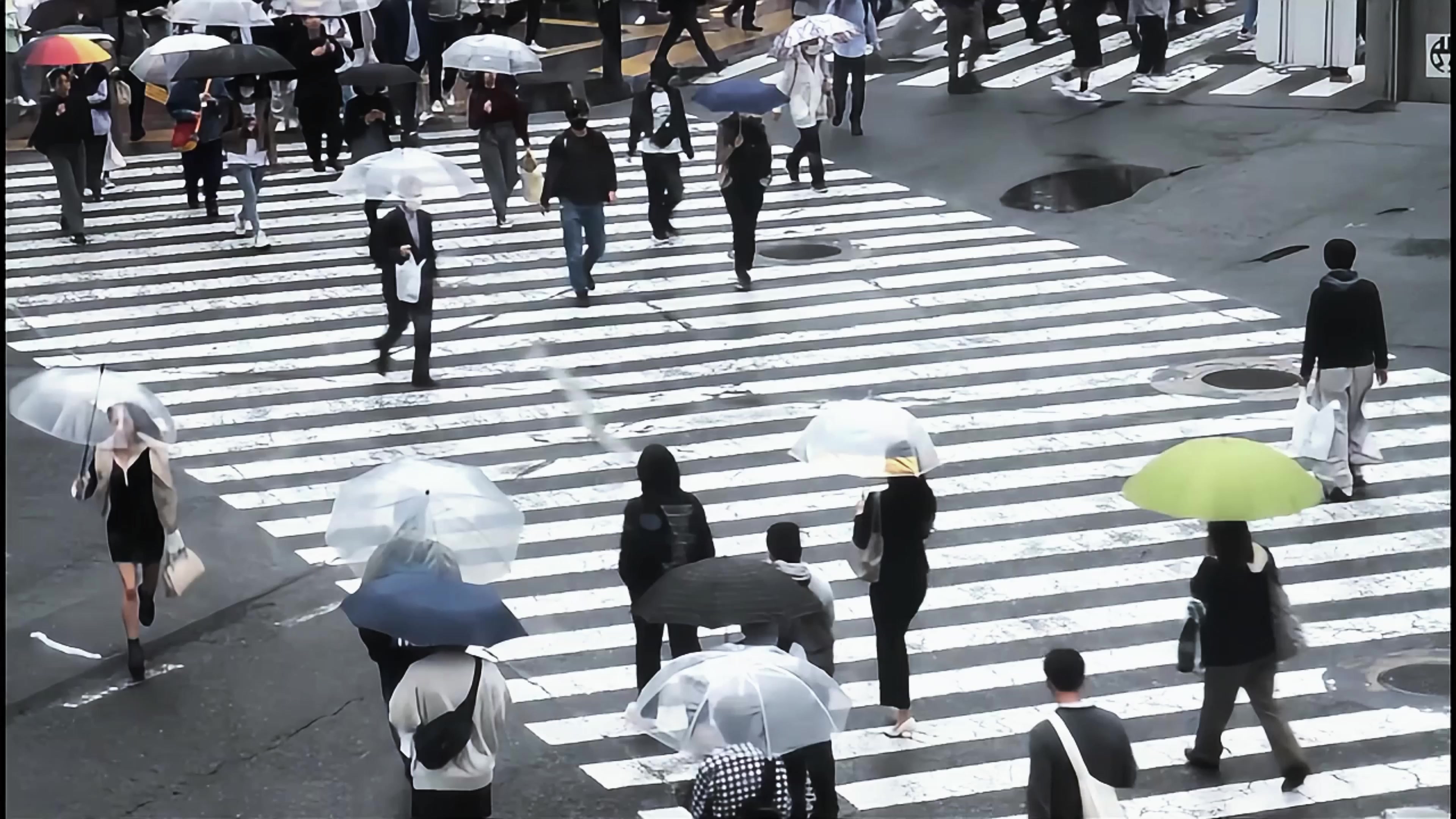 ...都是重生。#摄影摄像 #情绪短片 #inmyfellings #拍出电影感 #巨量算数