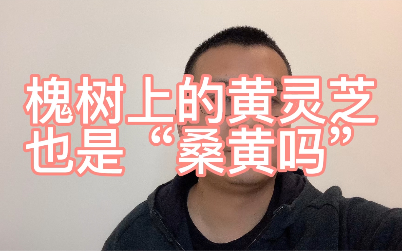 槐树上的黄灵芝也也是桑黄吗