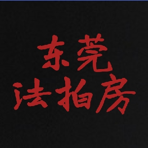 东莞法拍房 