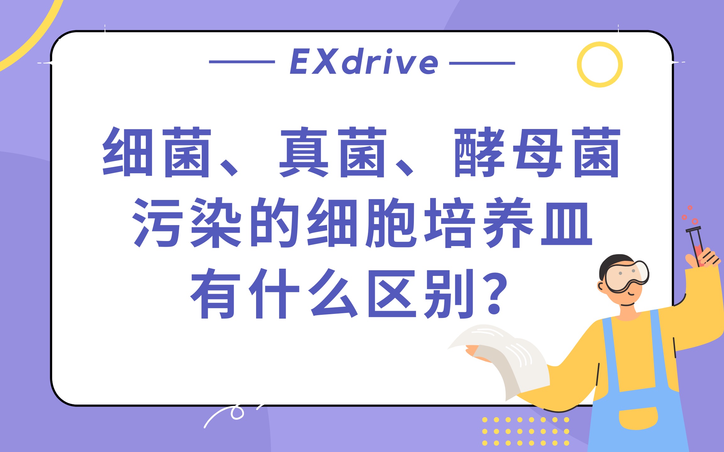 细菌、真菌、酵母菌污染的细胞培养皿有什么区别?