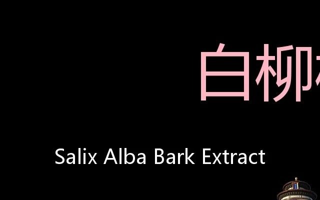 白柳树皮提取物 Chinese Pronunciation Salix alba bark extract