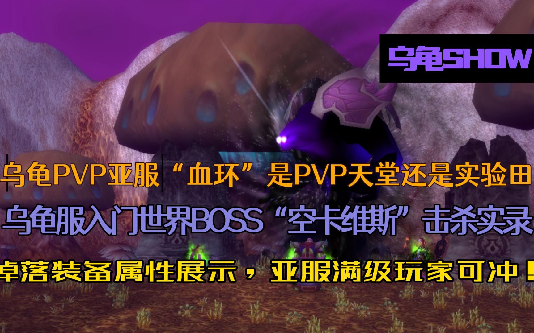 乌龟亚服“血环”和PVE服有和不同?详细解读!入门级世界BOSS“空...