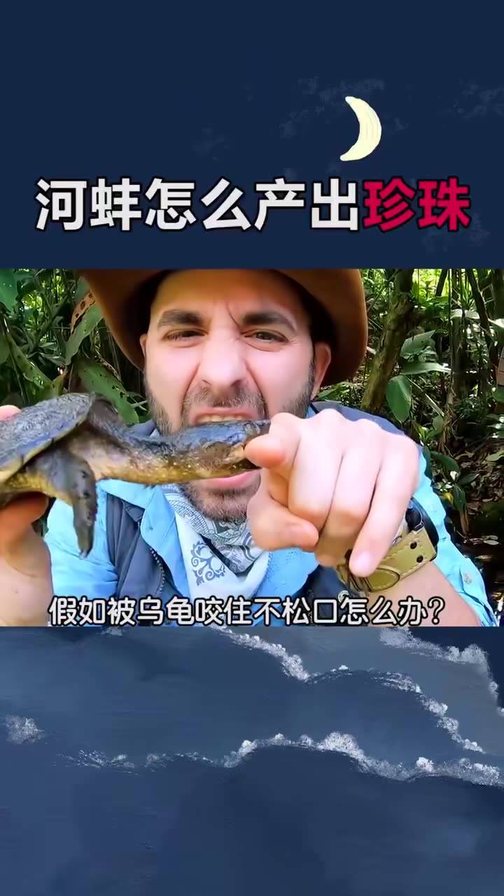河蚌为什么能产出珍珠?
