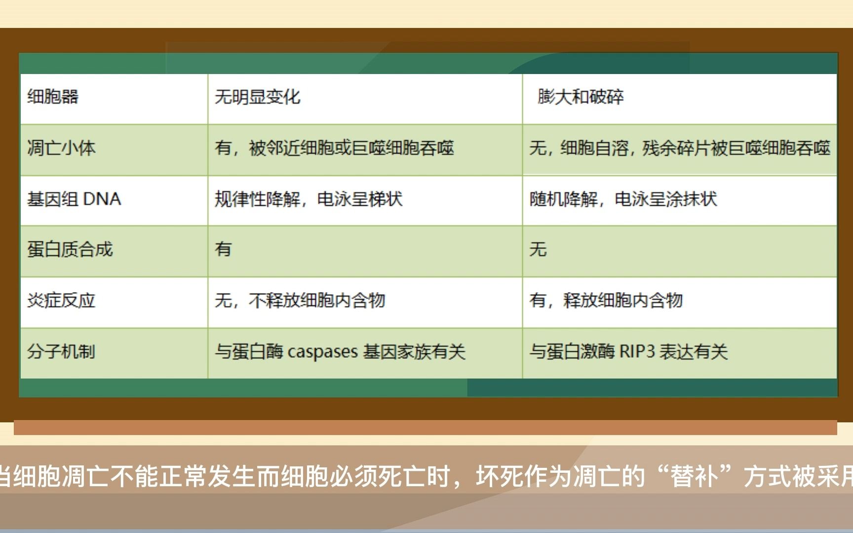 轻松鉴别细胞凋亡和坏死
