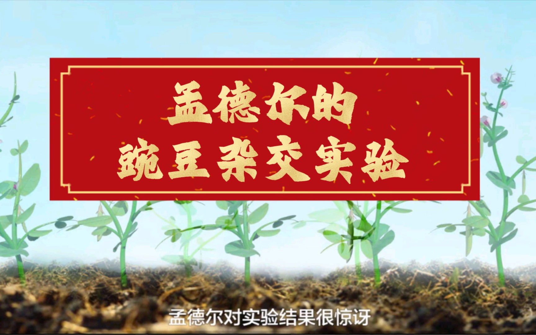 孟德尔的豌豆杂交实验