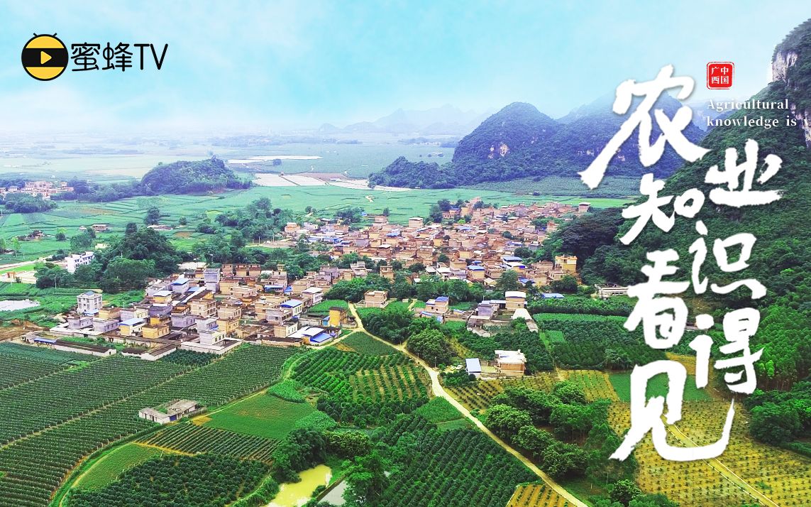 蜜蜂TV,让农业知识走进田间每户!