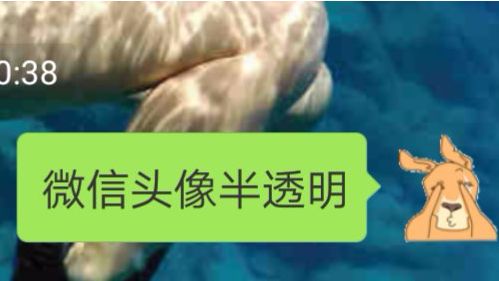 微信头像太简单了,一分钟教你如何把头像设置成局部透明的,感觉特别好