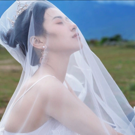 Flouxetine芯 