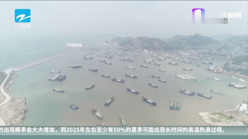 我国首个孩到统计调查计划公报发布,浙江海岛输俩